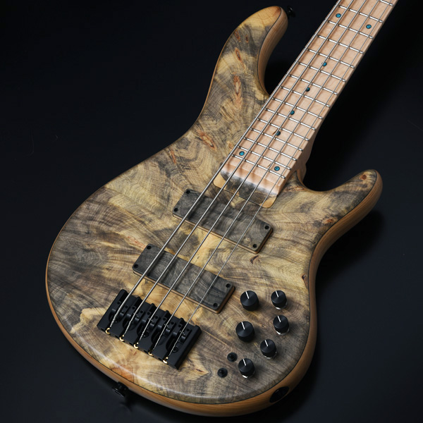 STR 10th Anniversary Model発表！ | Deviser ｜株式会社ディバイザー｜長野県松本市のギターメーカー