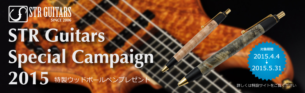 STR Guitars Campaign 2015 | Deviser ｜株式会社ディバイザー｜長野県松本市のギターメーカー